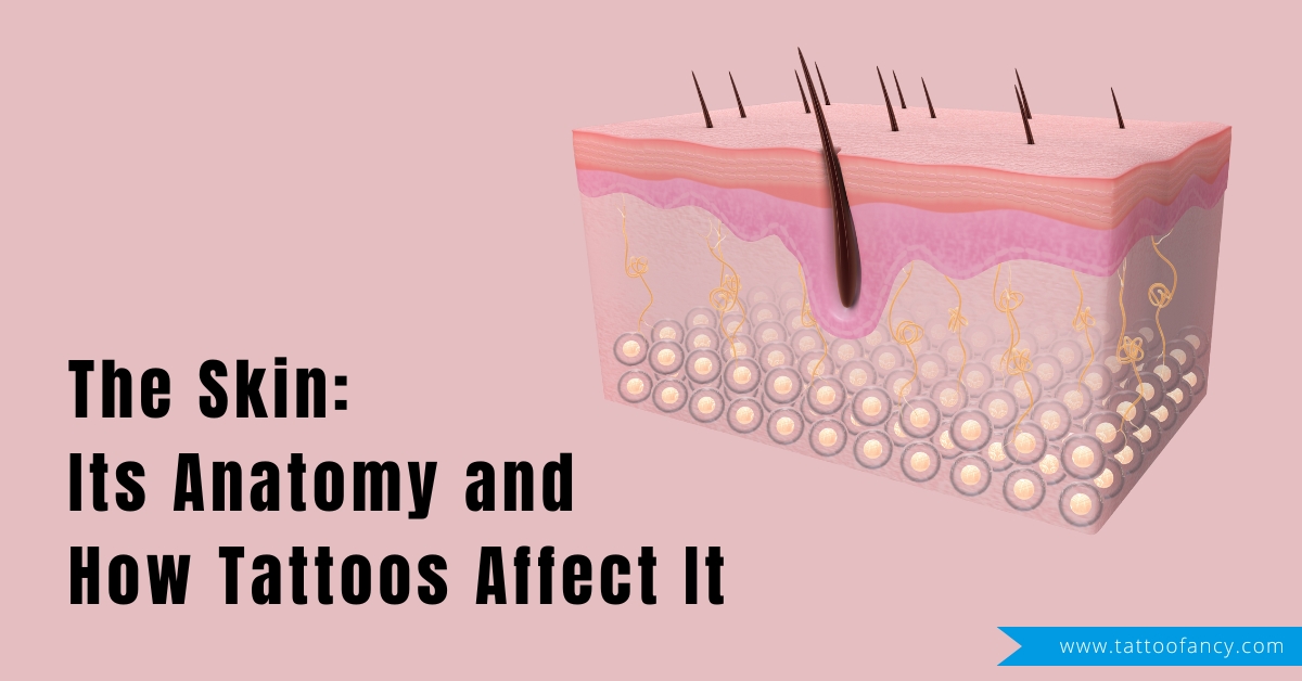 The Risks of Getting a Tattoo: Nerve Damage and More - Tattoofancy